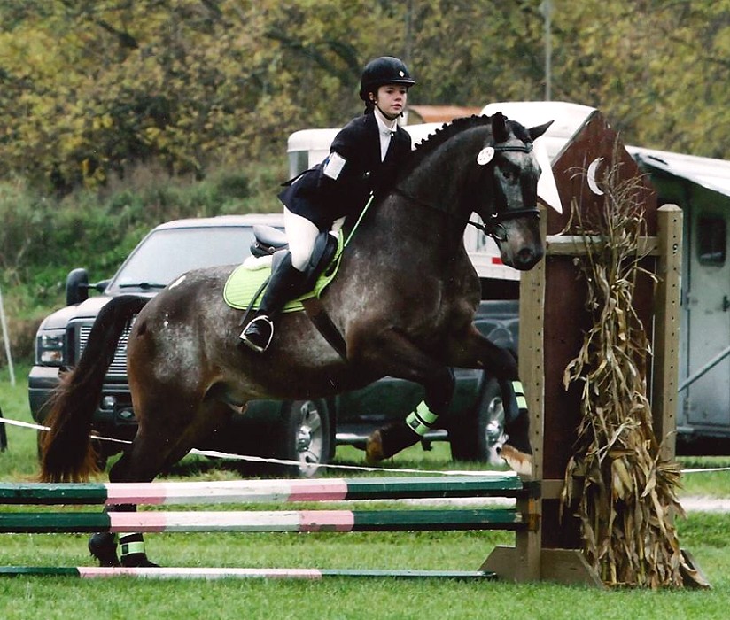 Friesian Heritage & Sporthorse News & Promotions